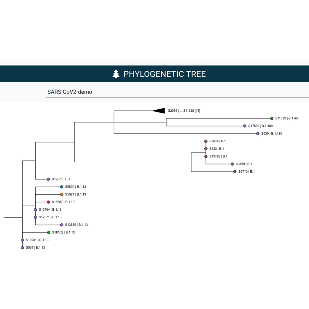 Our Program - Australian Pathogen Genomics Program