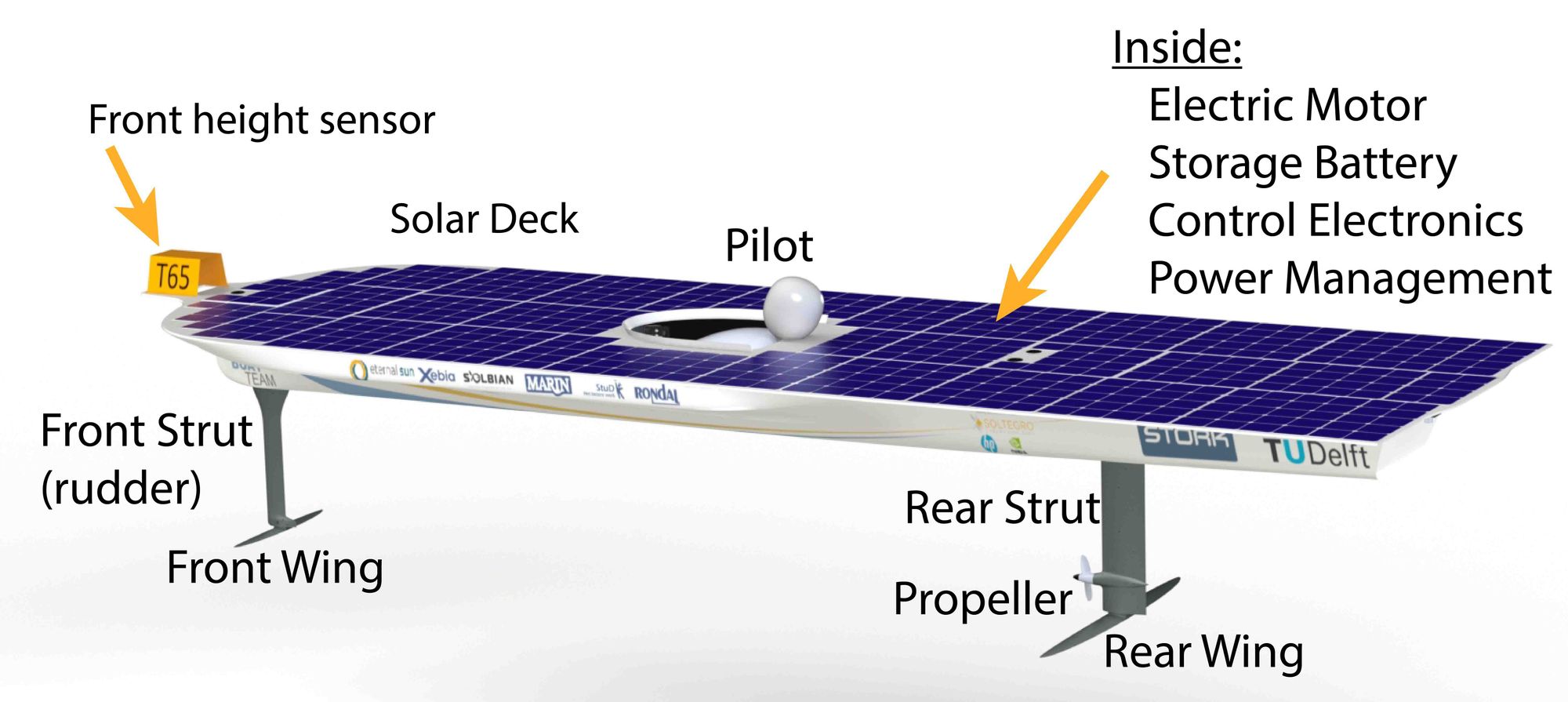 Flying Fish - Award-winning hydrofoil dynamics model