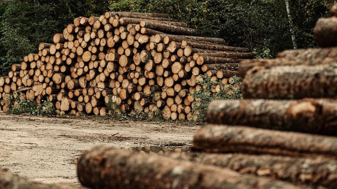 Home | Forest Products Association of Canada