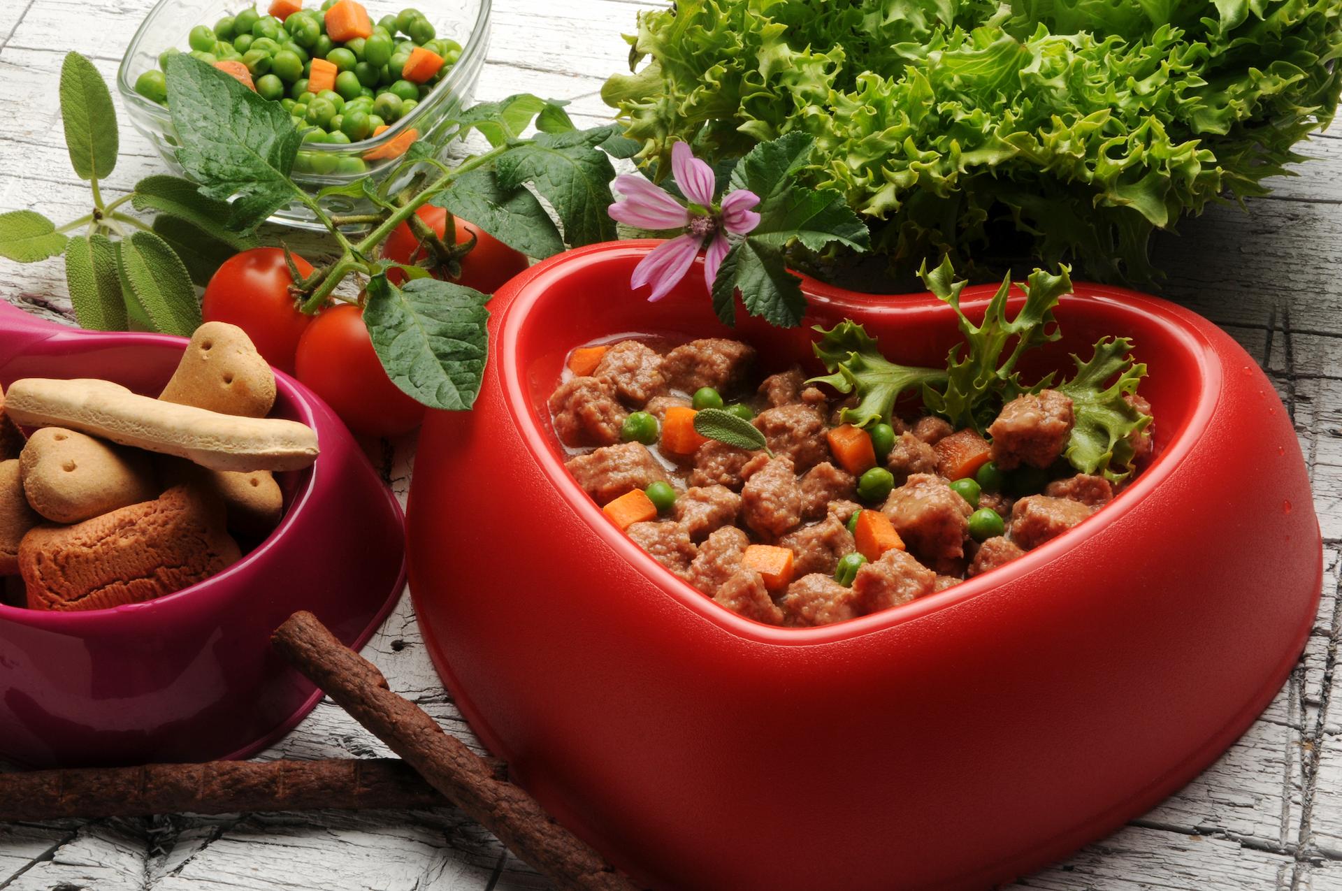 What Are the Best Sources of Calcium for Dogs? I Pettable I ESA Experts