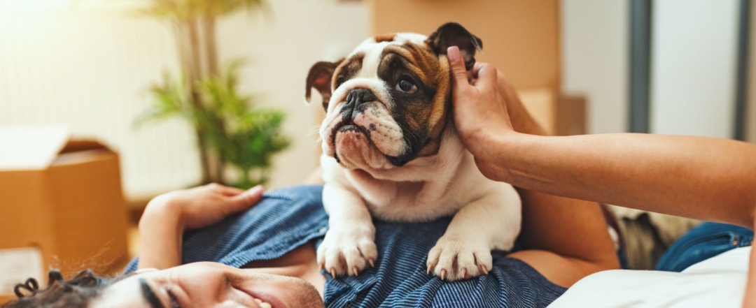 Pettable - Frequently Asked Questions! I Pettable I ESA Experts