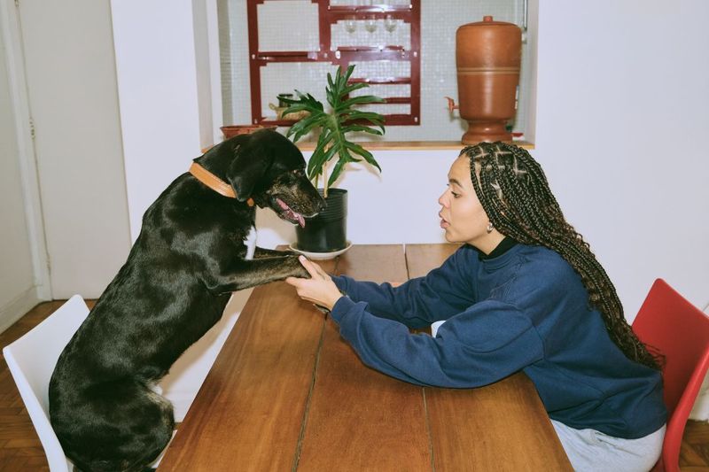 Emotional Support Animal for Anxiety - Everything You Need to Know ...