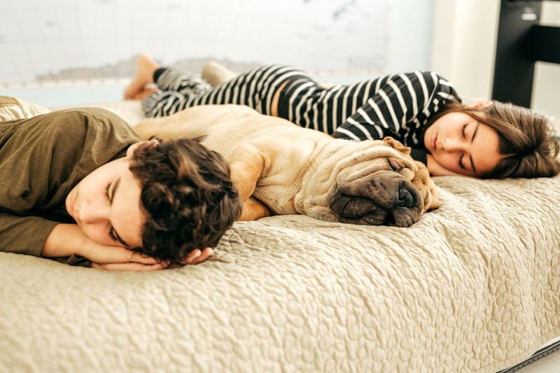 How to Get a Refund on Pet Deposit for Emotional Support Animals ...