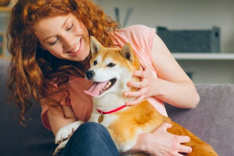How To Make Your Dog An Emotional Support Animal | Pettable – ESA Experts