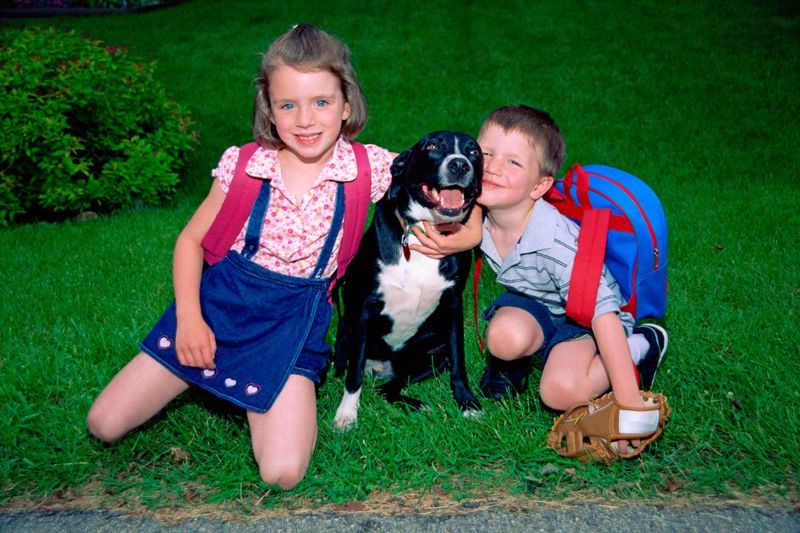 Can a Hotel Charge for a Service Dog? | Pettable – ESA Experts