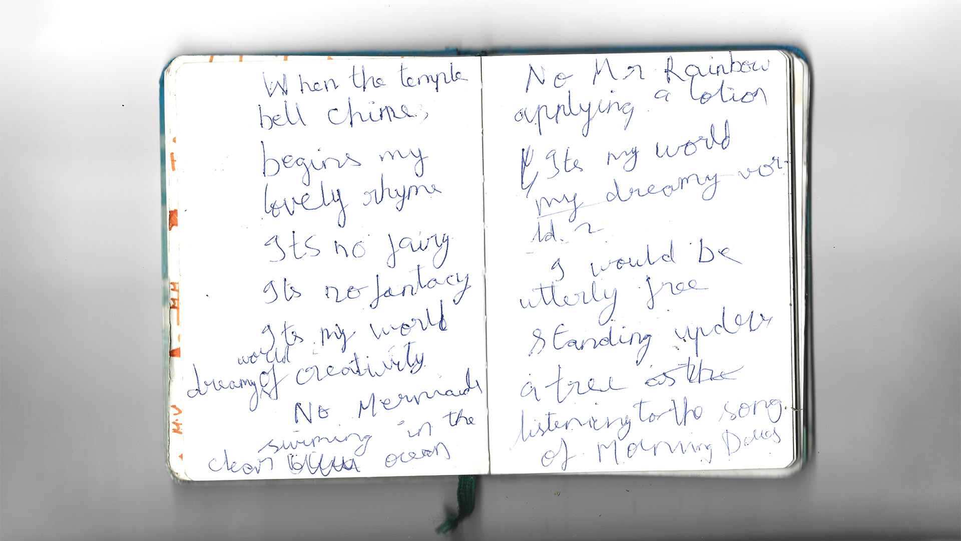 The dissection of a teenage diary