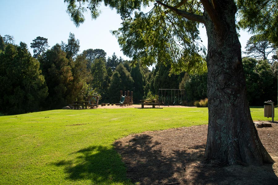 Mercer Motel | Attractions & Activities