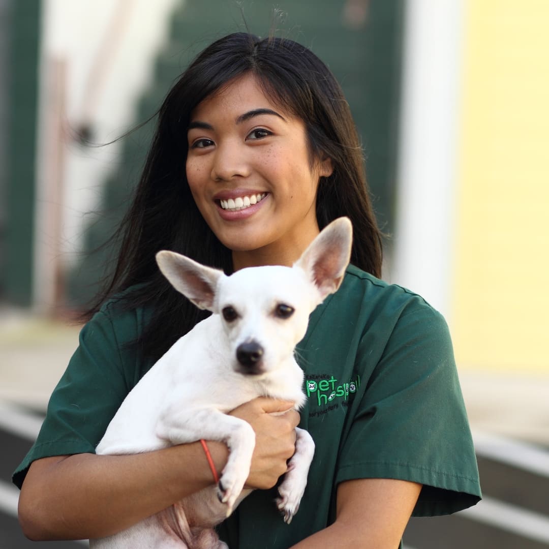 Welcome to Kaka'ako Pet Hospital | Honolulu, HI Veterinarian