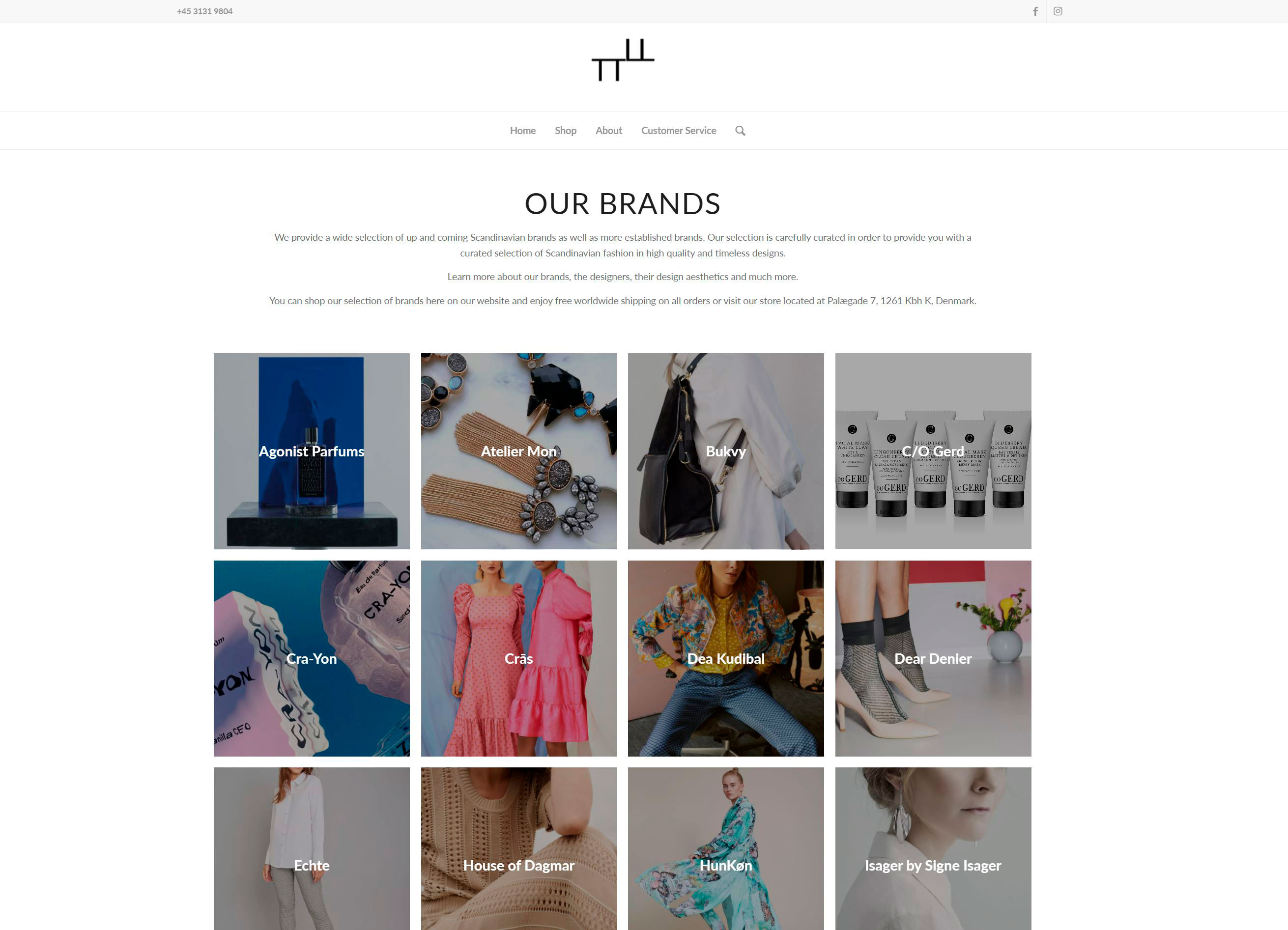 TTLL | Case Study | Paperfish Studio