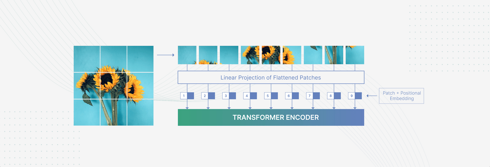 Are Transformers replacing CNNs in Object Detection?
