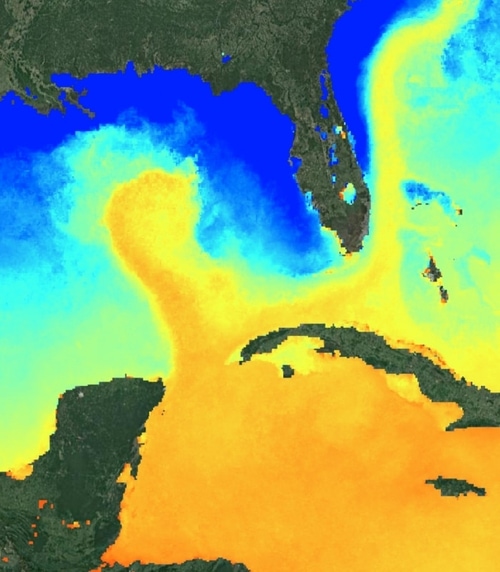 Earth Blox | No-code access to the power of Google Earth Engine