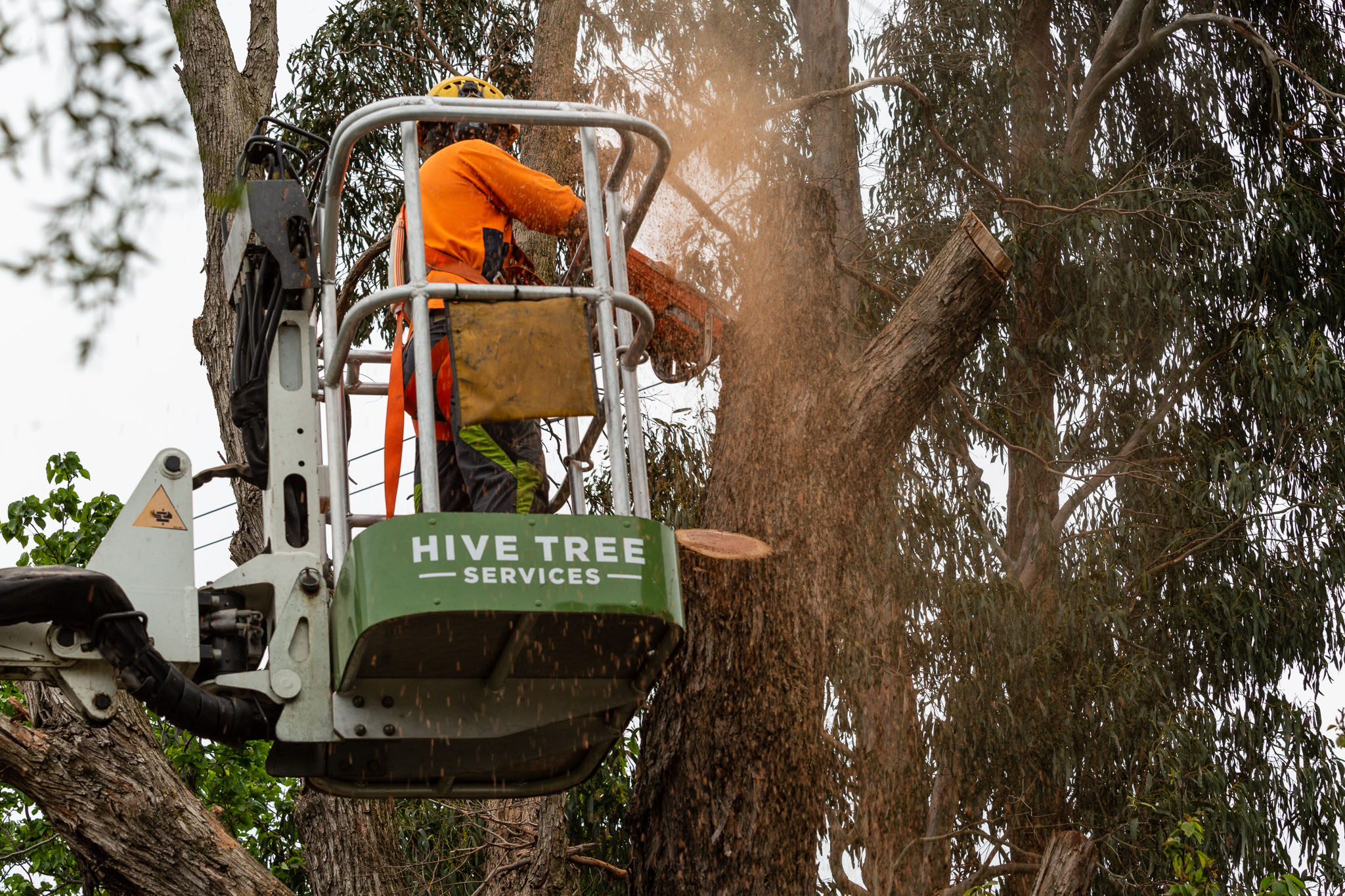 tower elevated platform