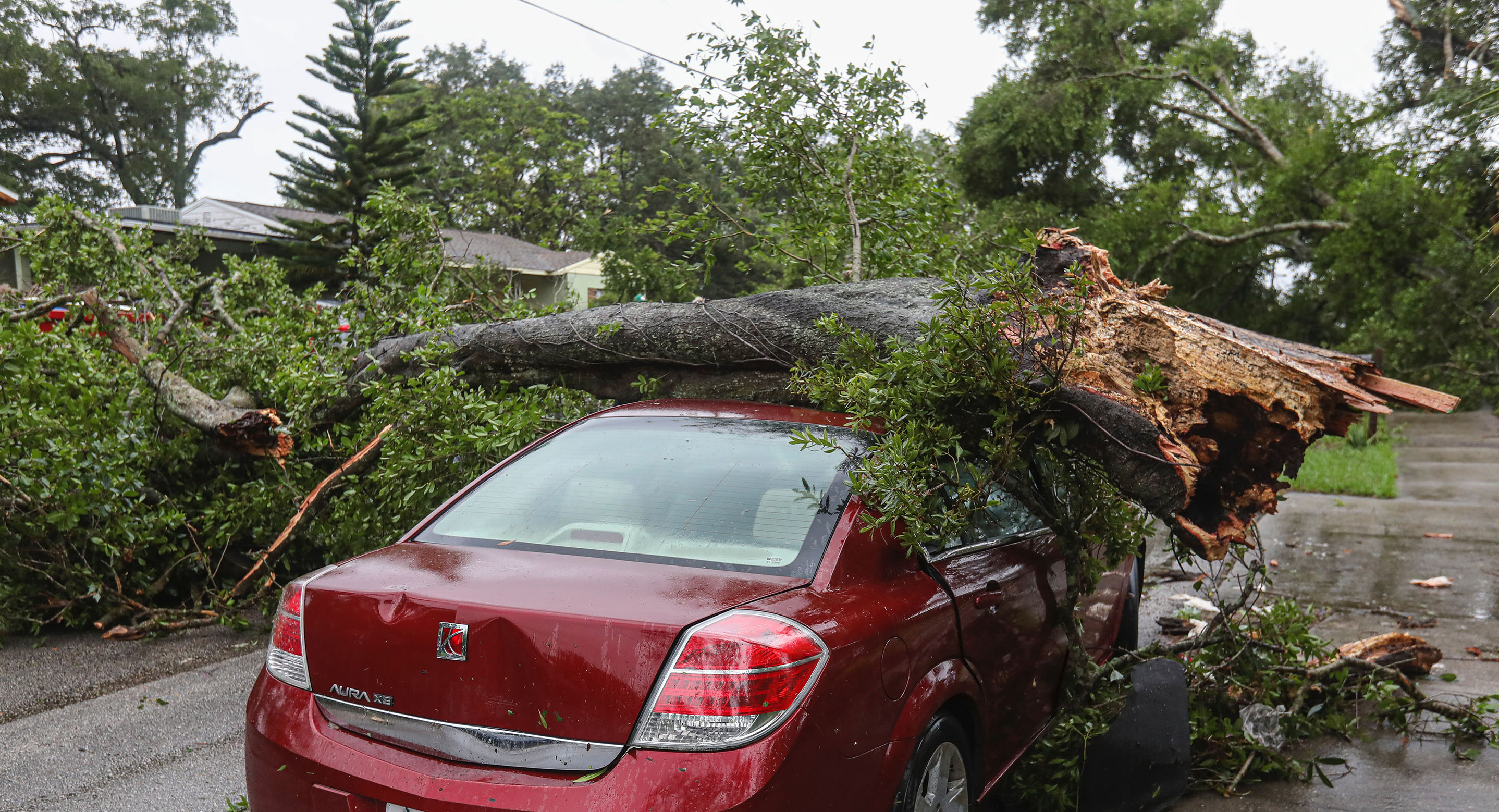 Tree emergency services