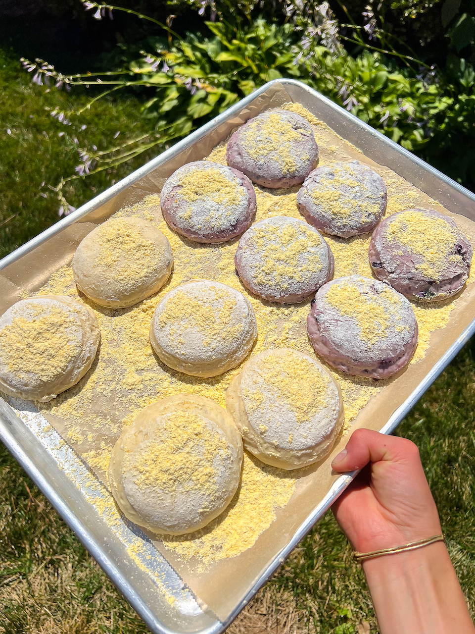 Sourdough English Muffins (Classic & Wild Blueberry) - BRIGHT MOMENT CO.