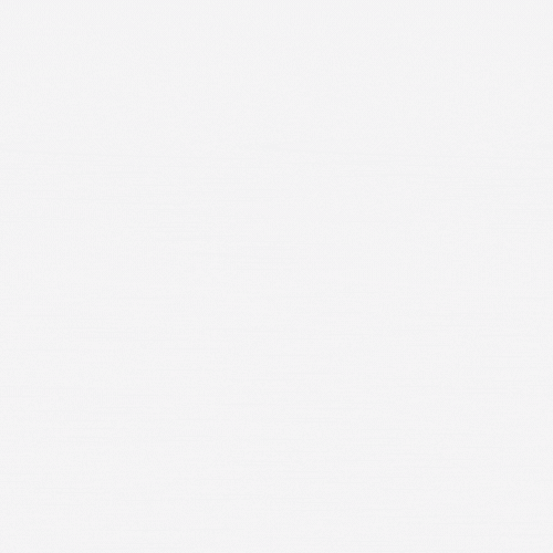 Animated Logos by Flow Video