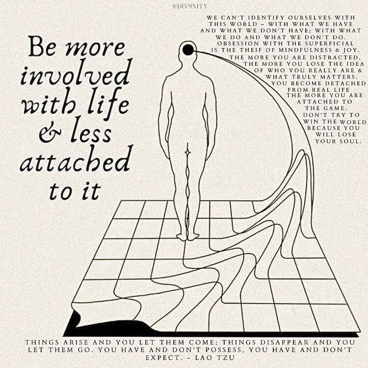 mood board | nancy dong