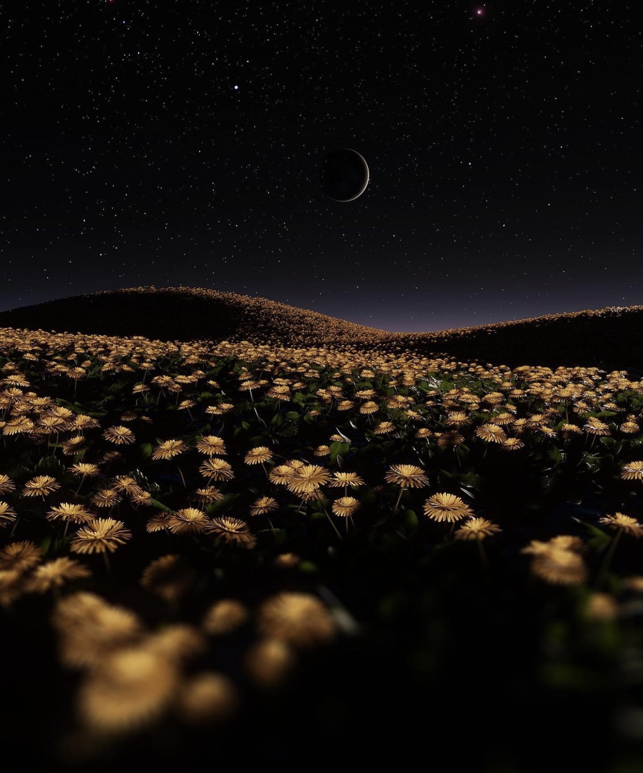 mood board | nancy dong