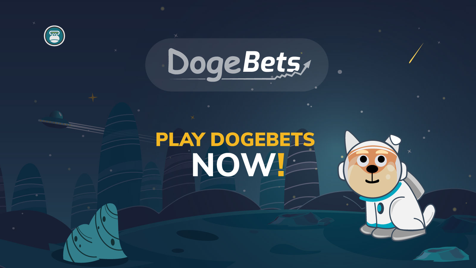 Play DogeBets now with BNB!