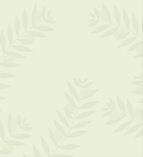 The Wild Olive Tree | Coffee, Soups, Scones and Cakes