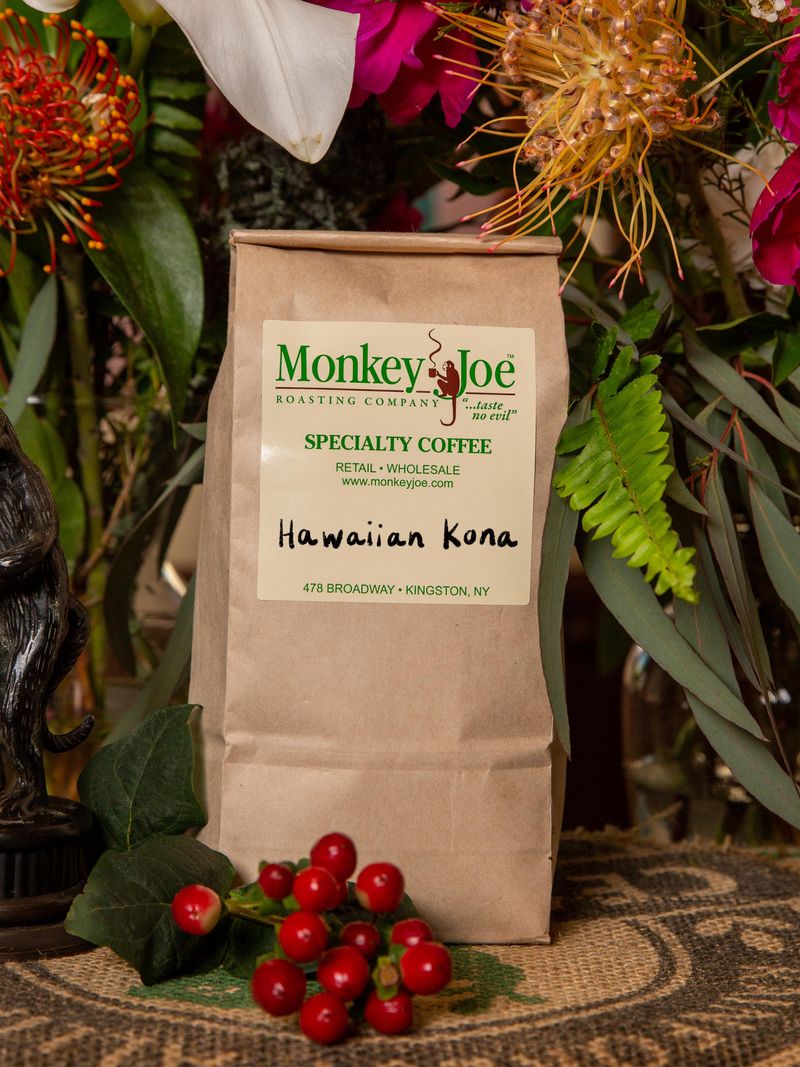 Home [www.monkeyjoe.com]