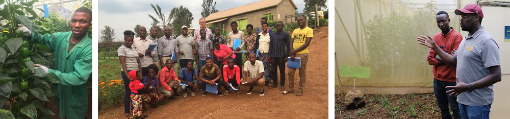 GAP Certifaction | Sunripe Farms Rwanda