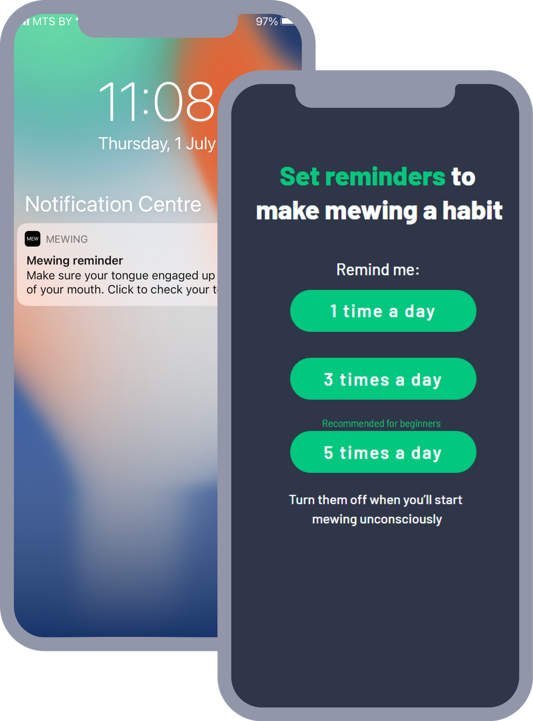 Top 5 Mewing Devices & Tools: Mewing Appliance, MyoSpots, DIY Jawline ...