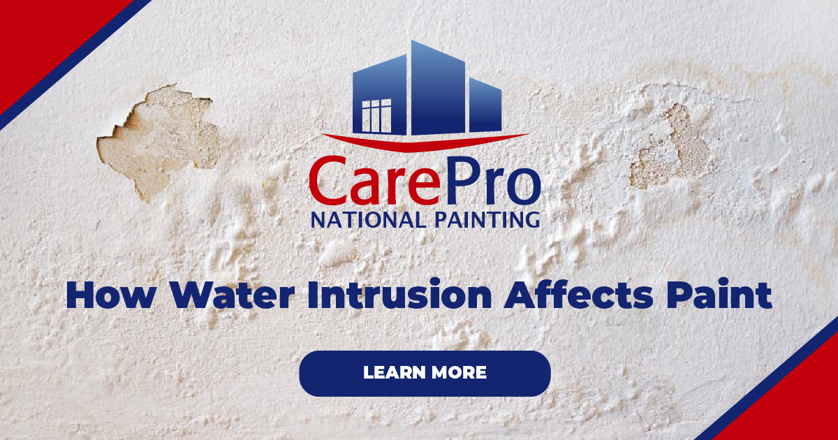 How Water Intrusion Affects Paint | CarePro National Painting