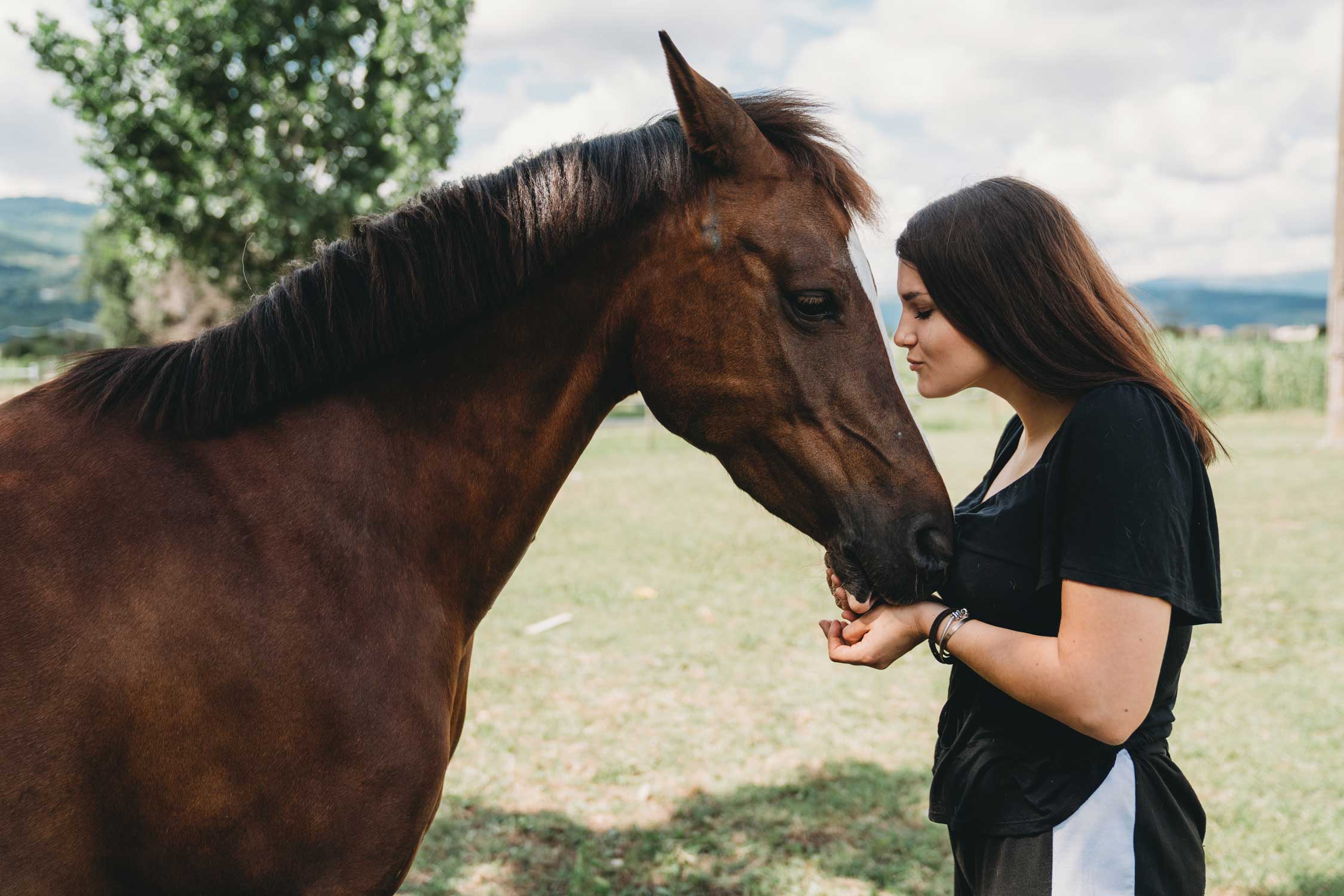 Equine Supported Programs - Training, Courses & Workshops