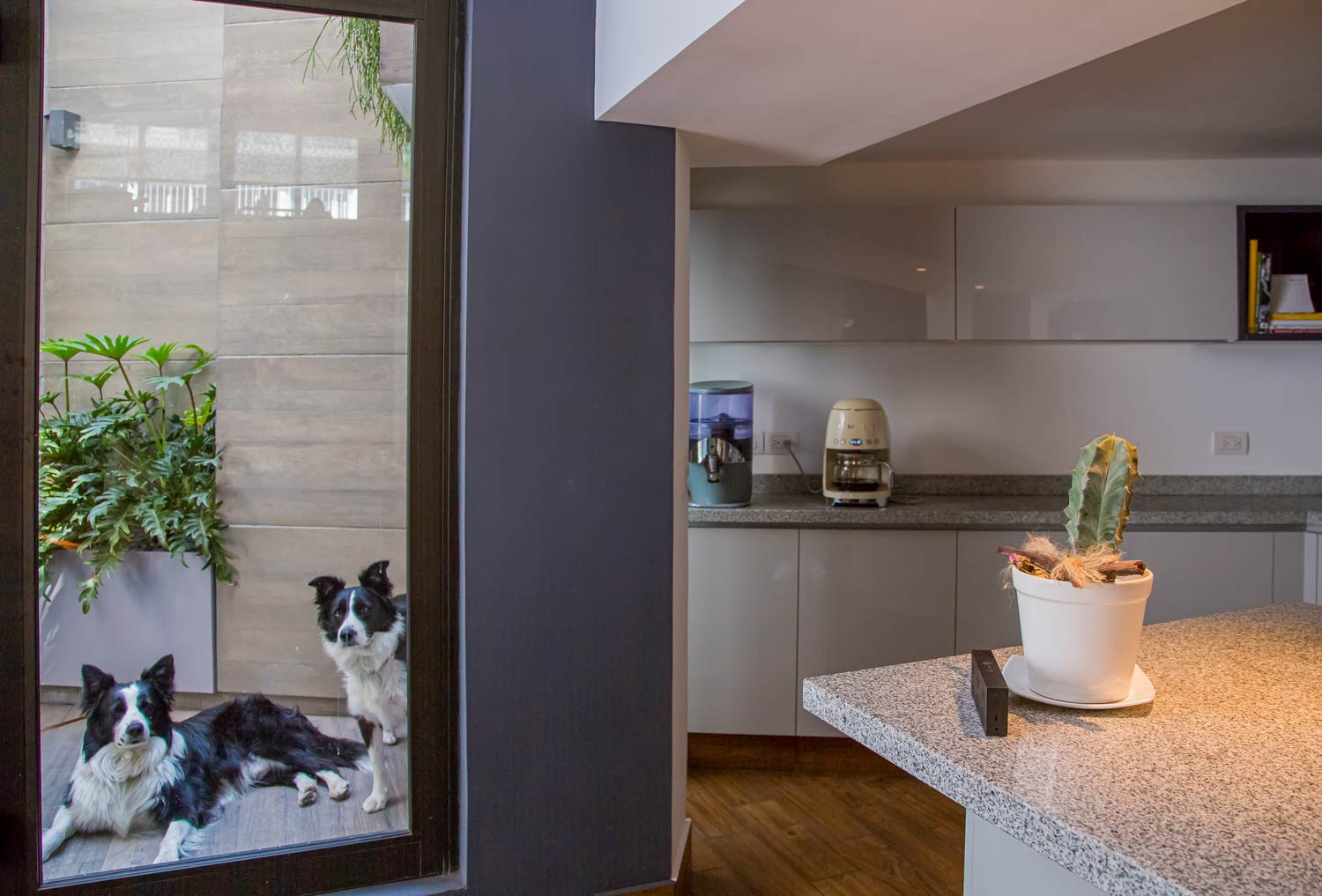 Legend Portfolio: Terraza & Kitchen