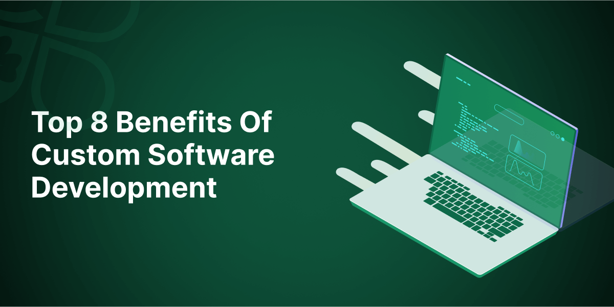 Benefits Of Custom Software Development | CleverDev Software