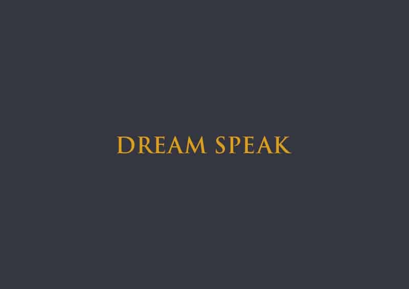 The Lucid Dreaming Experience