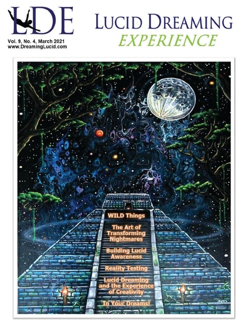 The Lucid Dreaming Experience