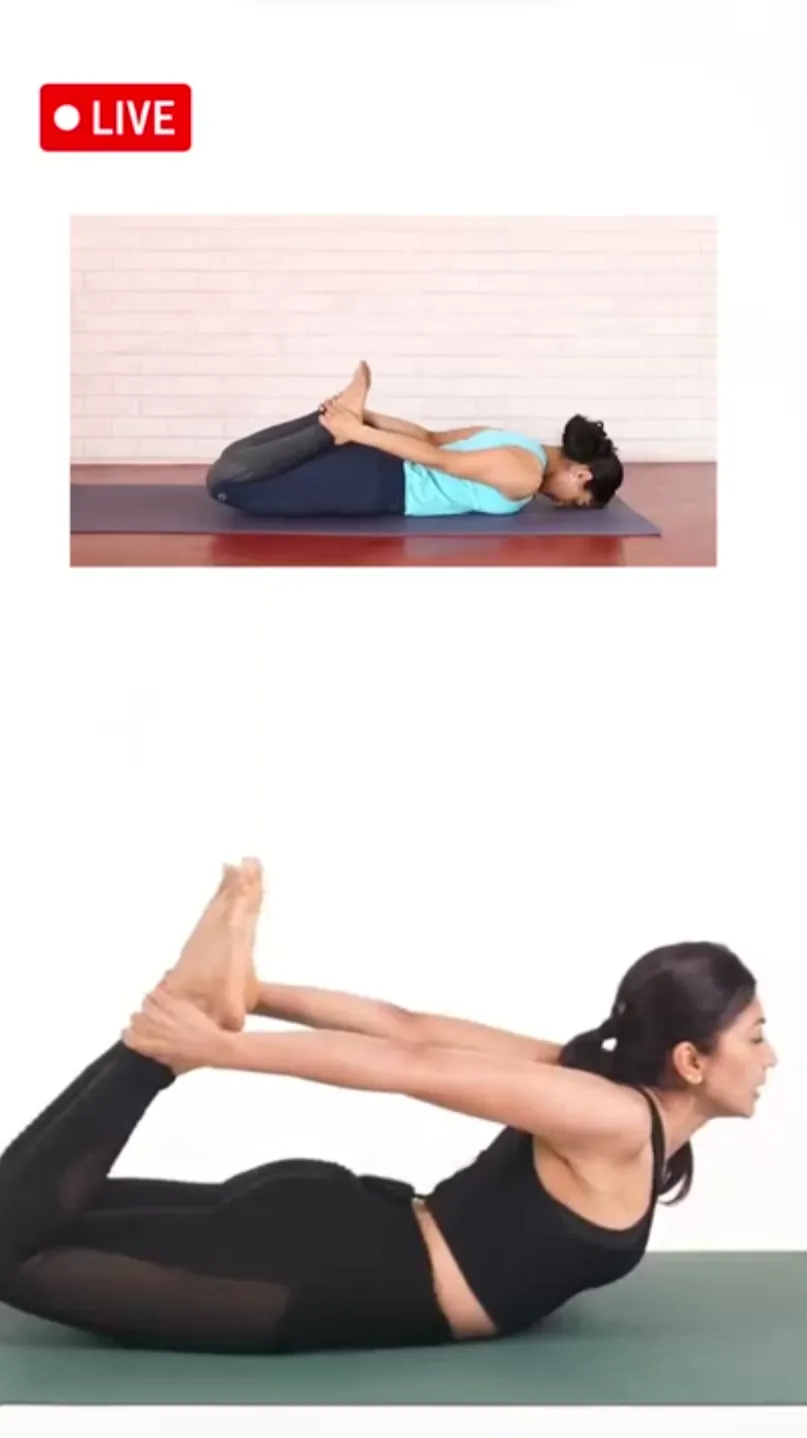 Shvasa Yoga & Meditation | Best Online Yoga Classes