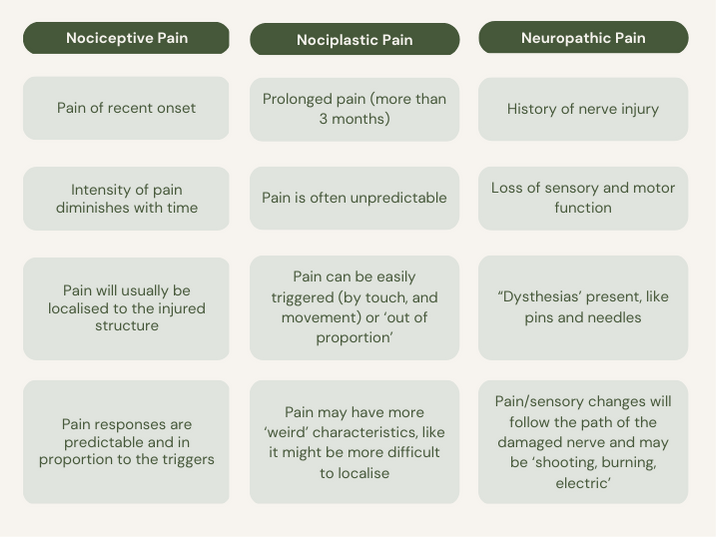 Differences between acute and chronic pain