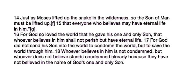 GitHub - vejnoe/bible-verse-formatter: A simple script for the macOS ...