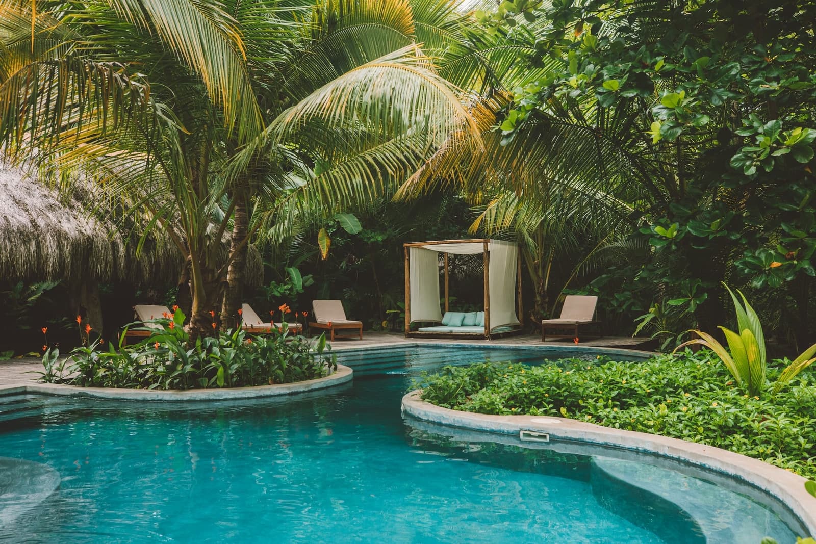 📸 Cayuga Collection — Giulia Gartner