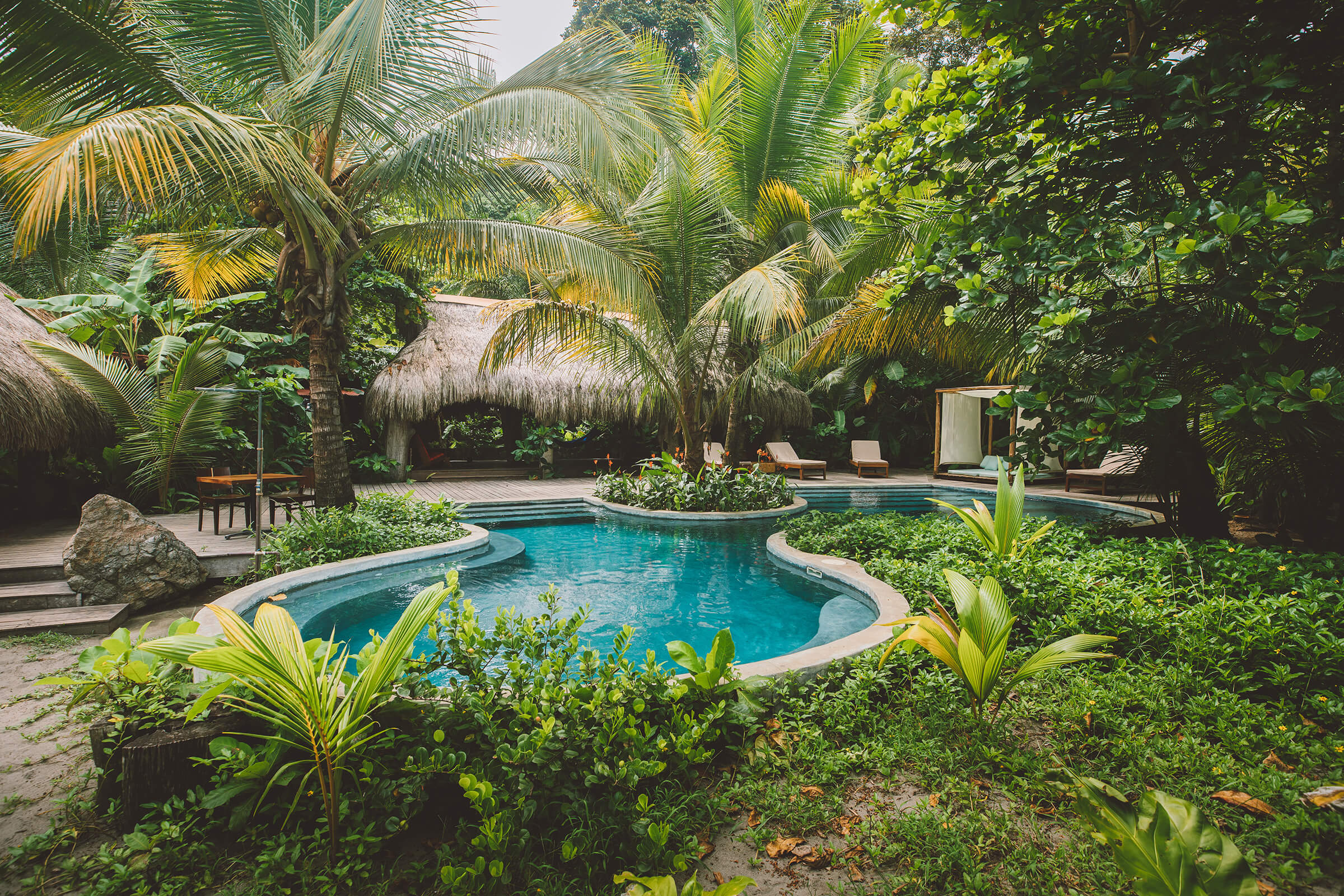 📸 Cayuga Collection — Giulia Gartner