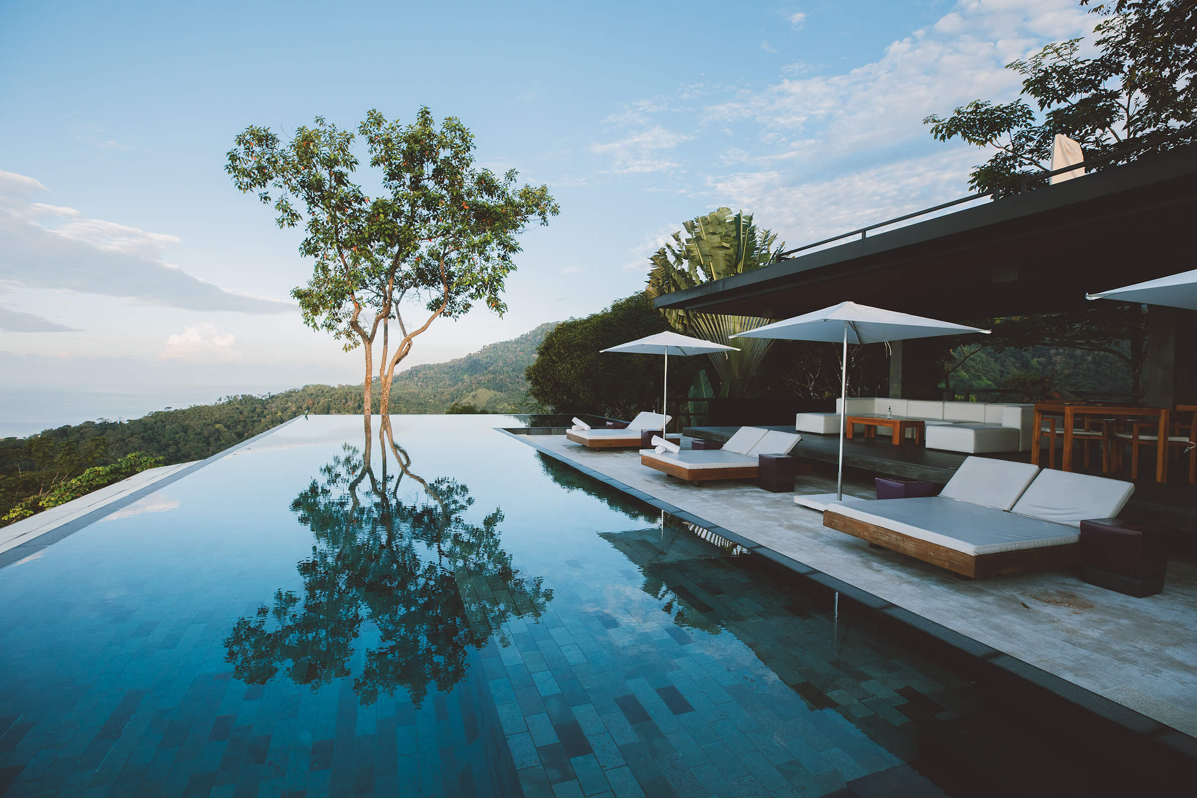 📸 Cayuga Collection — Giulia Gartner