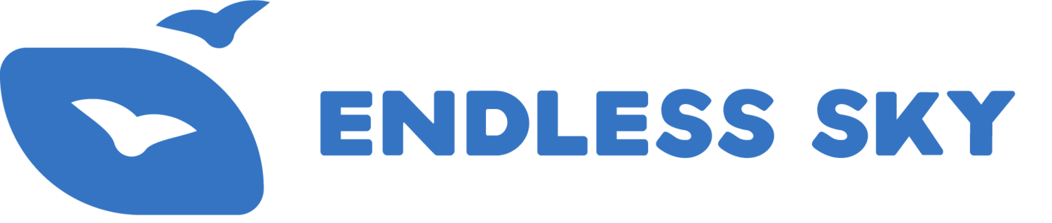 Endless Sky Foundation - Fighting Poverty through Education