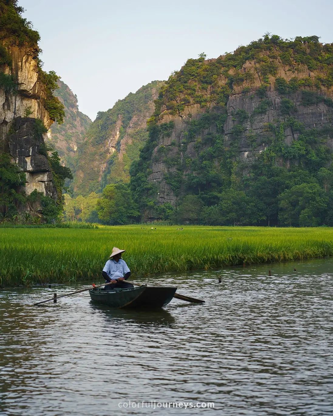 Tam Coc Boat Tour: Best Viewpoint, Prices, & Tips