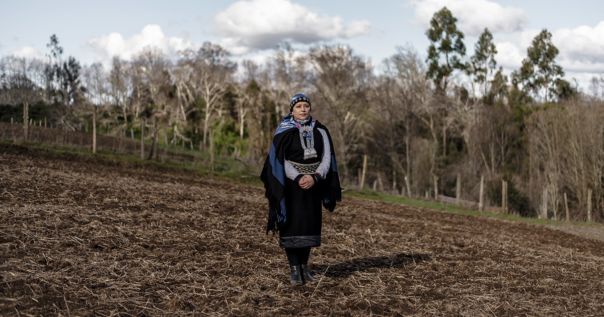 Mapuche Lafkenche Indigenous People: the Fight for the Defence and ...