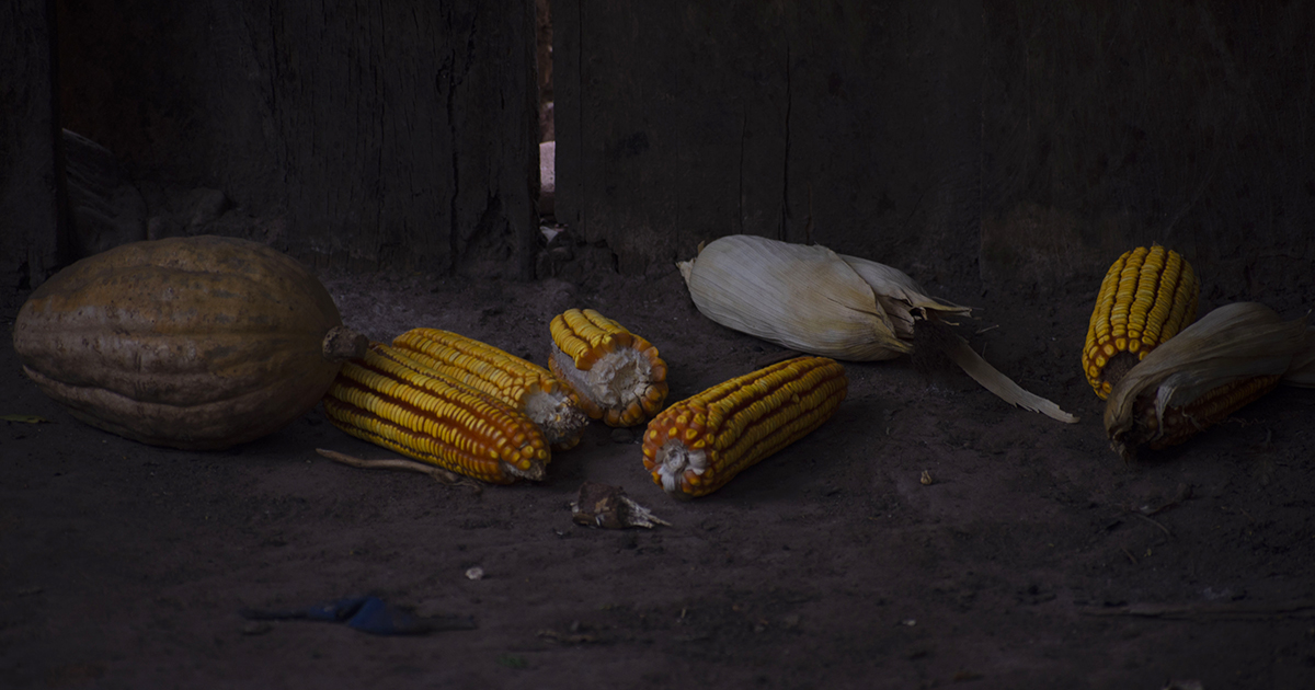 The Guaraní Yaku-igüa Indigenous People: Good Living and Food Security ...