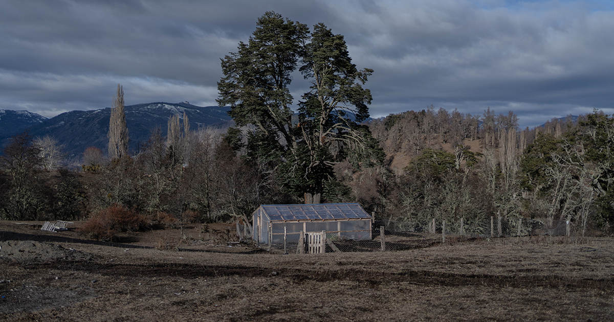 Territorio Indígena Mapuche Cayun: un refugio tras la violencia de la ...