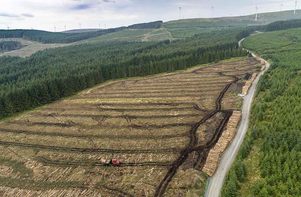 Harvesting - Clearfell | Euroforest Ltd