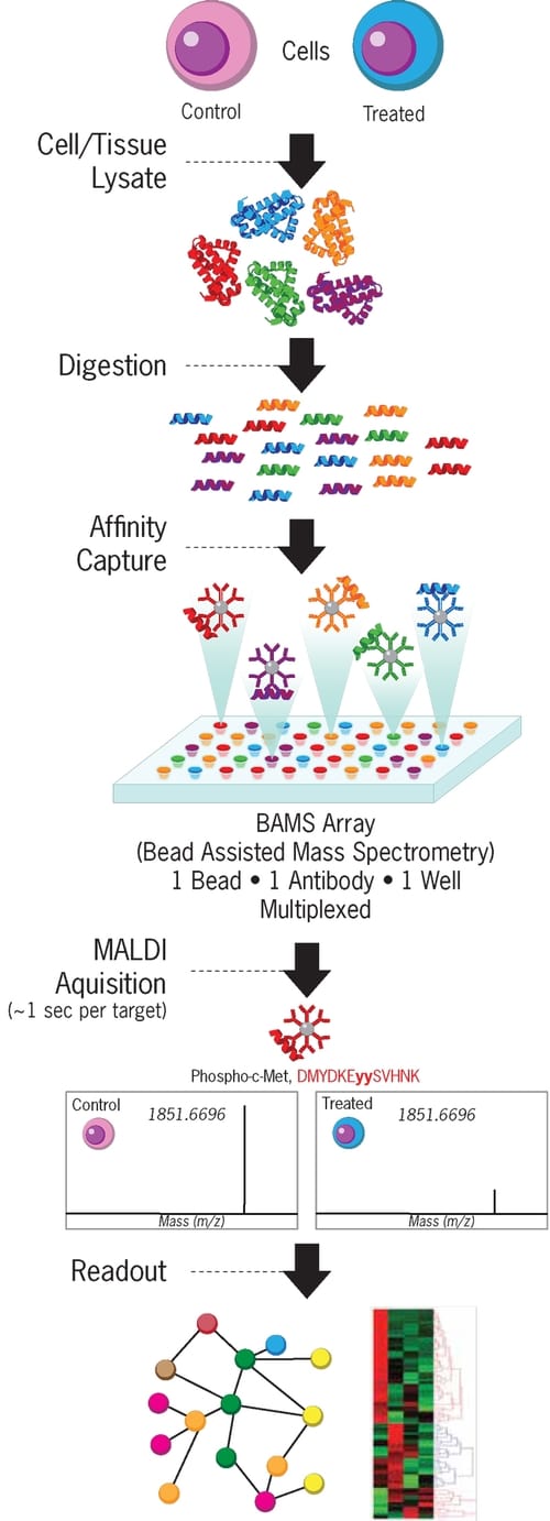 Technology | Adeptrix Corp. – Bead Assisted Mass Spectrometry (BAMS™)