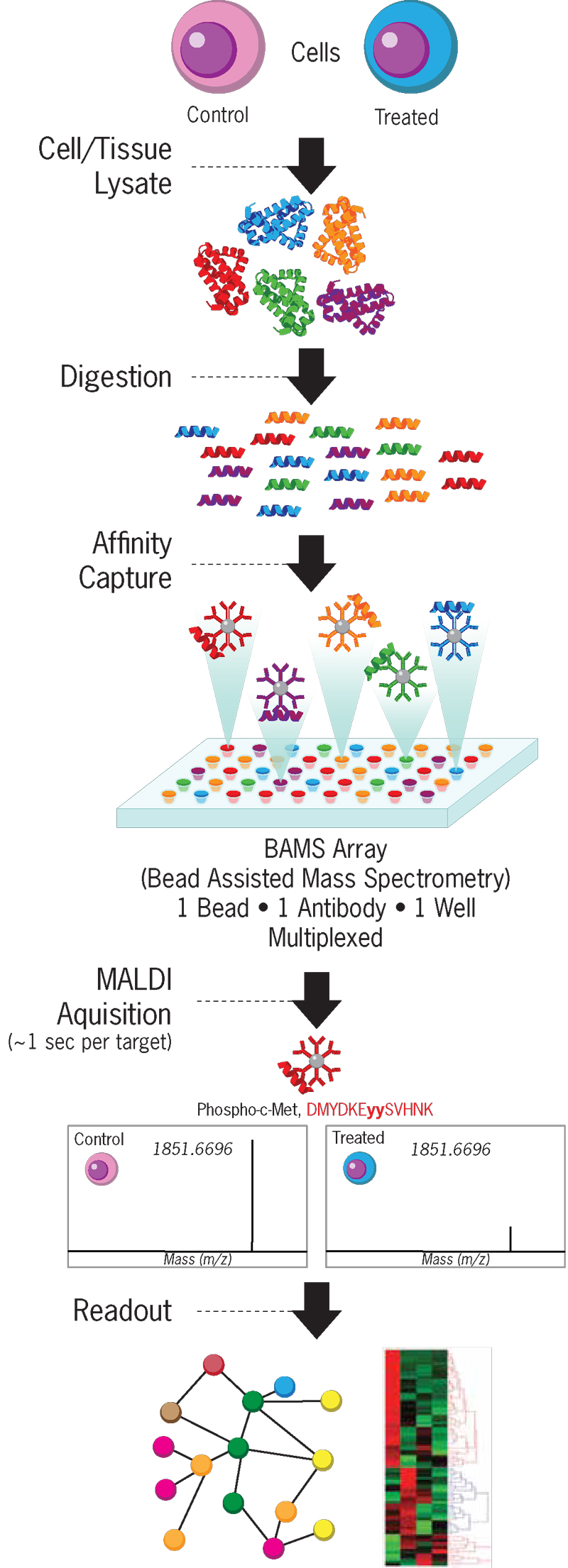 Technology | Adeptrix Corp. – Bead Assisted Mass Spectrometry (BAMS™)