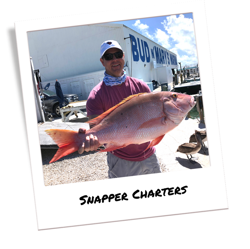 Islamorada Offshore Fishing Charter | TAN MAN Charter