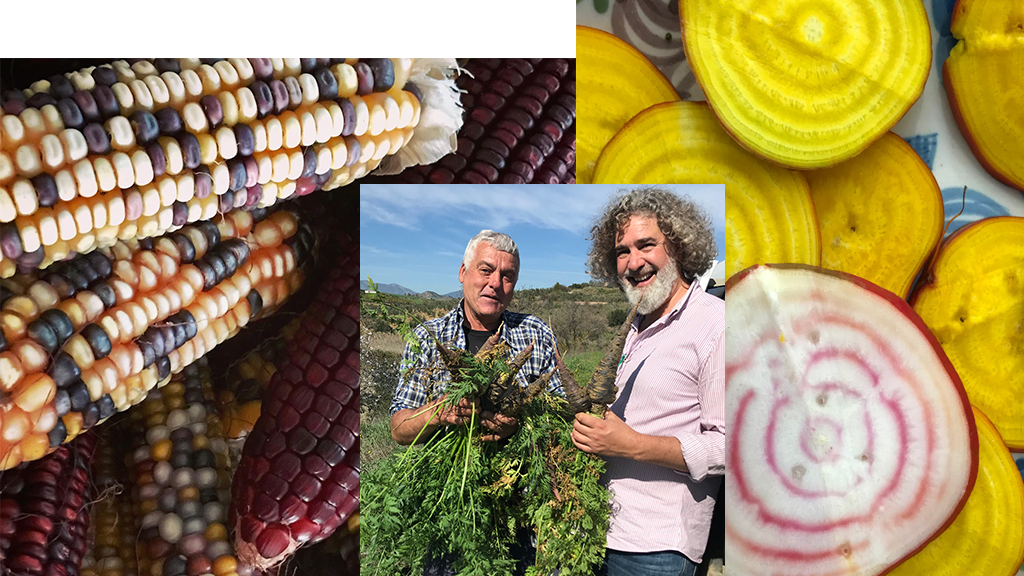 Prime Blog: Buchinger Wilhelmi esp