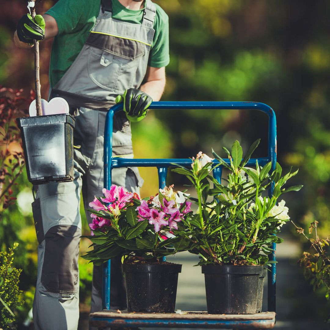 Commercial Landscape | OpenWorks Facilities Management