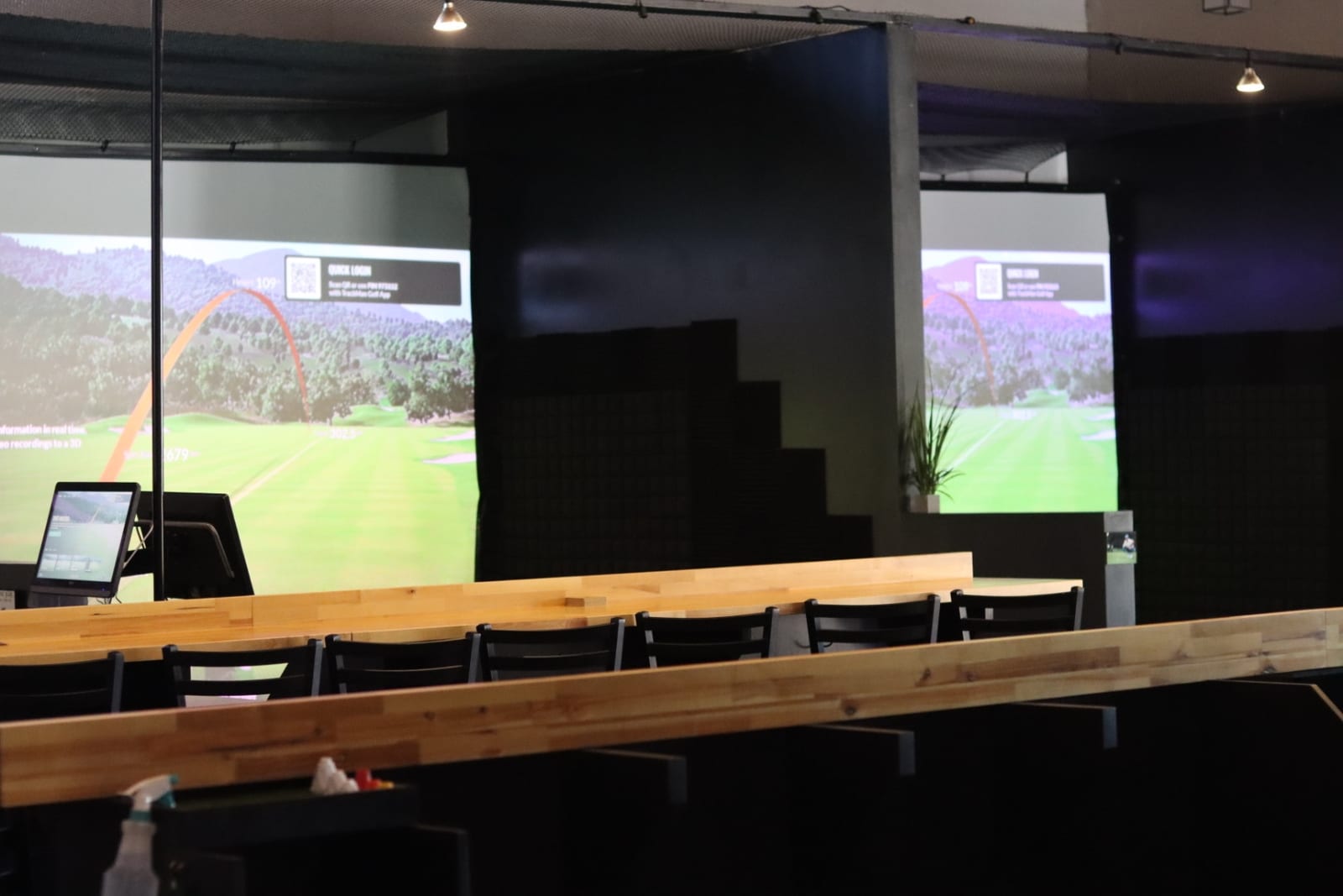 Albatross Golf Sim and Bar